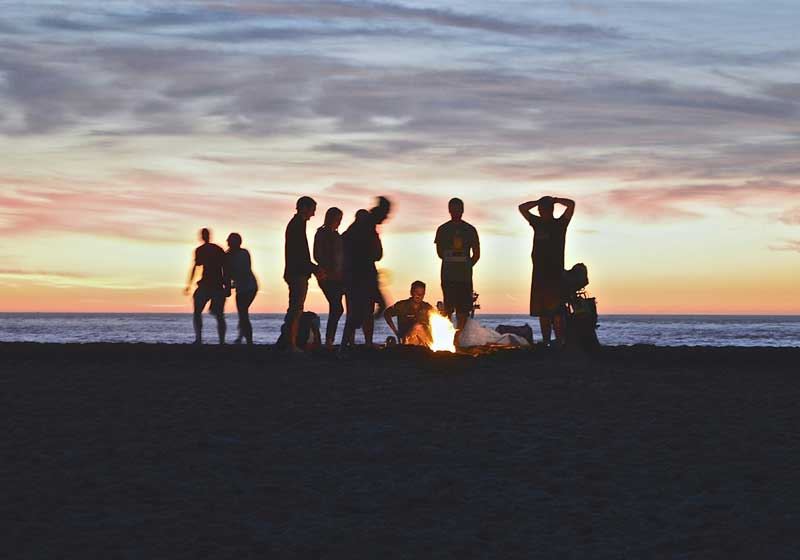 Buster Greens, Dunedin - Cafe Restaurant Menu, Phone, Reviews | AGFG