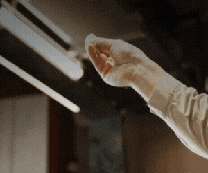 The 20 Best Whangarei,NI Restaurants, Restaurants in Whangarei | AGFG